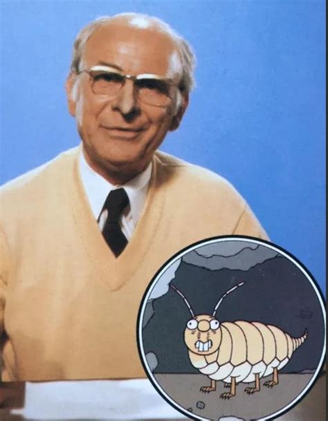 Die Berühmtesten Sketche Von Loriot