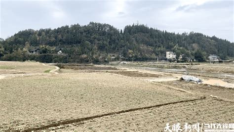 千人百进”蹲点采访】岑巩县思旸镇：粮田变良田 绘就农业增产图建设农田寨村
