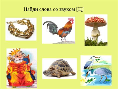 Картинки на звук ц в начале слова