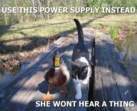 10 Most Quiet Power Supply Units For Your Zen PC Build