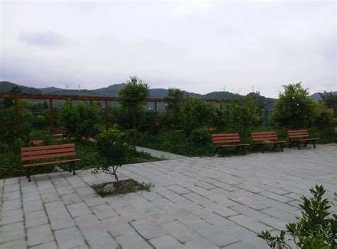 南充市凤垭山全景图南充市西山南充市凤垭山大山谷图库