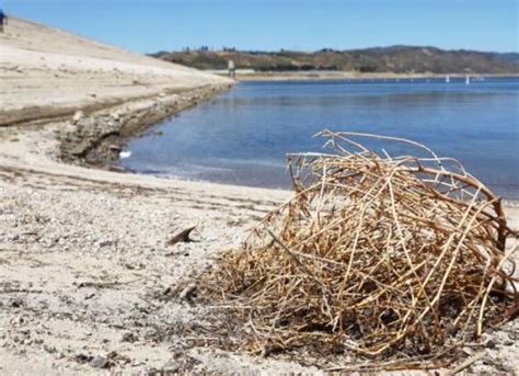 México sin agua estas son las presas que se han quedado completamente sin agua y en qué