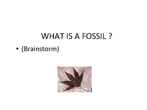 Fossils What Is A Fossil Brainstorm The Characteristics