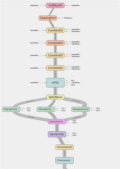 Reference Macro Architecture Of The BioCNN Visualization Using Google