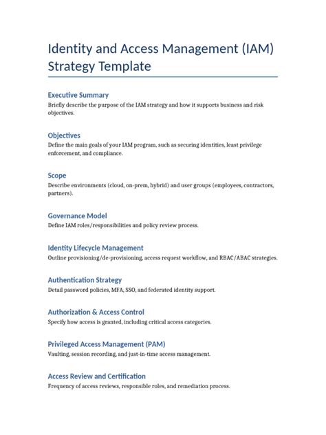 Iam Strategy Template Pdf