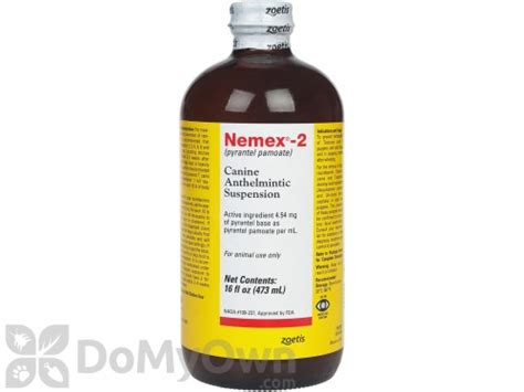 Nemex 2