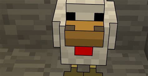 🔥 50 Minecraft Chicken Wallpapers Wallpapersafari