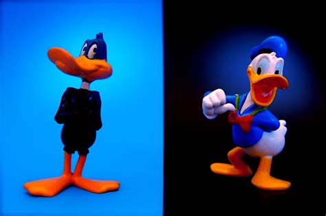 Daffy Duck Vs Donald Duck 173 365 Photos Jd Hancock