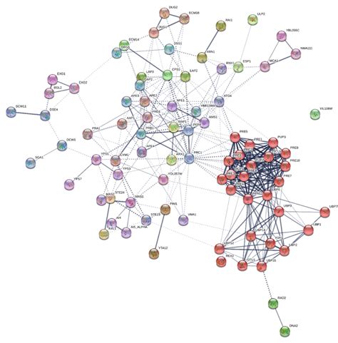 Interaction Network Map Built Using String V11 0 And Based On The 84