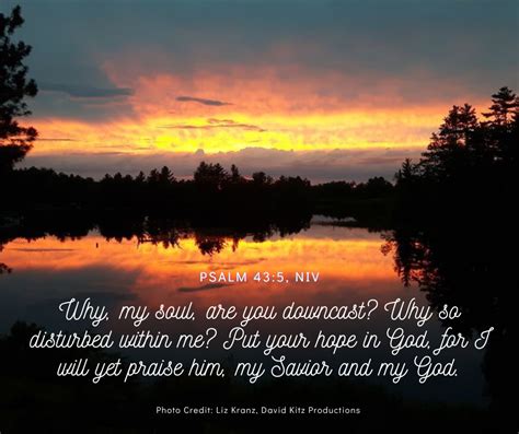 Altered By The Altar I Love The Psalms