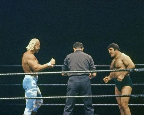 Wrestlers Bruno Sammartino Vs Billy Graham Glossy Magnet F Magnet