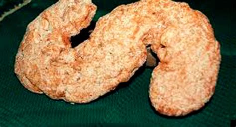 Biscottini Di Zia Gilda Marisa Laurito