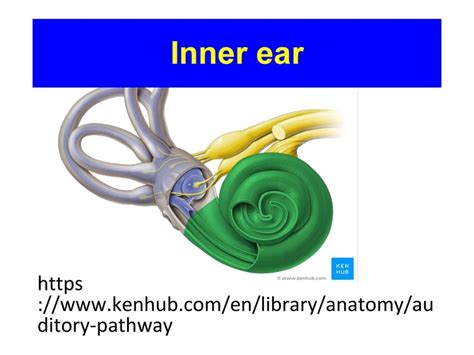 Synthetic Telepathy The Microwave Auditory Effect Samim