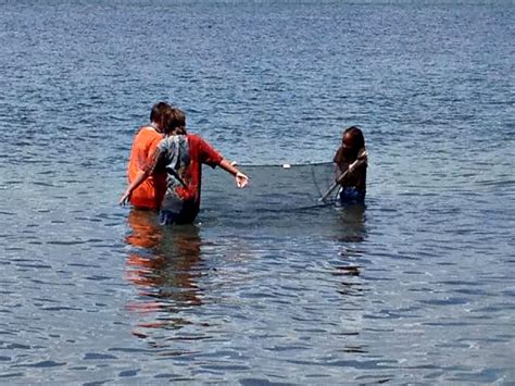 Educational Horizons Participate In Indian River Lagoon Quest