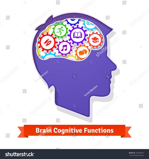 Brain Functions Concept Human Head Full Stock Vector Royalty Free