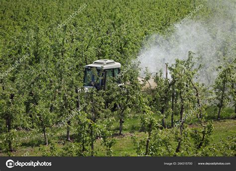 Tractor Spraying Insecticide Or Fungicide In Apple Orchard — Stock
