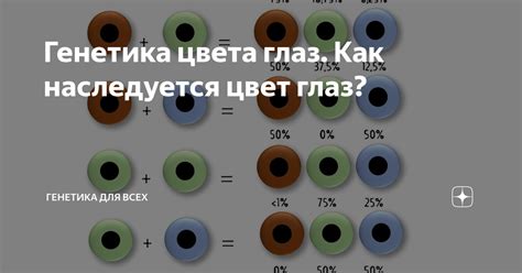 Генетика цвета глаз Как наследуется цвет глаз Генетика для всех Дзен