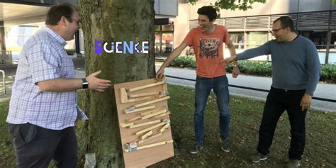 Học Hỏi Và Thiết Kế Kỹ Thuật Chế Tạo Đường Đua Bi