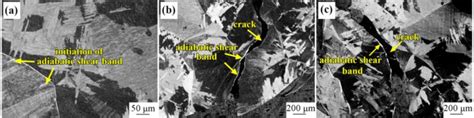 Microstructure Of Wm Sample At Different Strain Rates A 1000 S −1