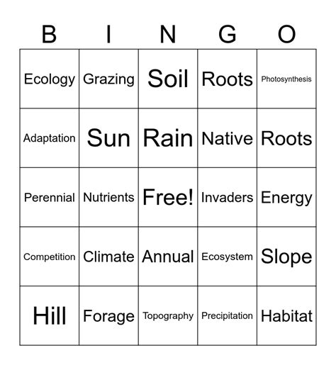 Ecology Bingo Card