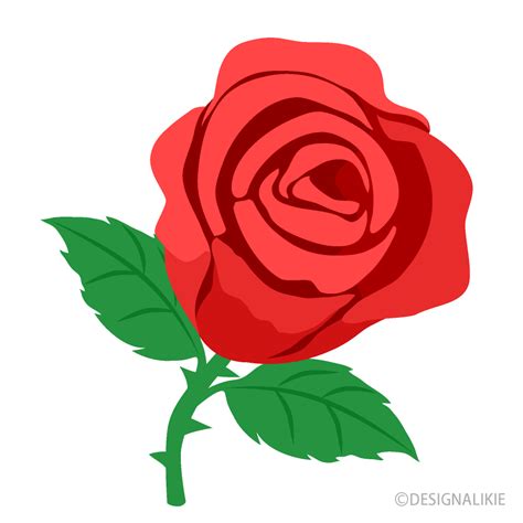 Rose Flower Png Hd Photos
