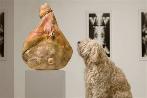 Can Dogs Eat Ham Health And Detox And Vitamins