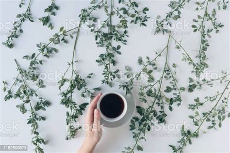 흰색 테이블에 녹색 잎과 가지에 허브 차 한 잔과 여성의 손 차 예술 플랫 레이 상단 보기 건강한 생활방식에 대한 스톡 사진 및 기타 이미지 Istock