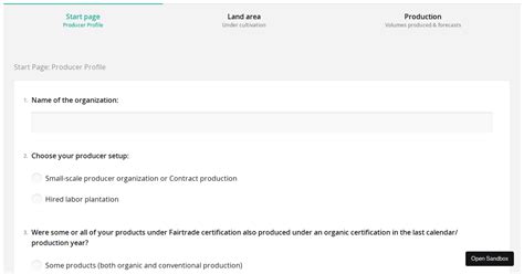 Questionnaire With Panels Forked Codesandbox
