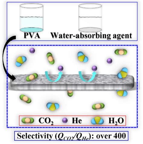 Co2‐facilitated Transport Membranes Prepared By Blending Polyvinyl