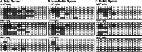 Detection Of Aav2 Sequences In Dna From Rabbit Total Semen And Semen