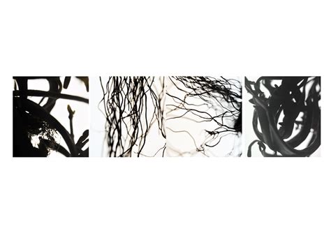 Grids Jeremy Kilburn