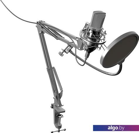 Ritmix RDM-169 микрофон купить в Минске, цена