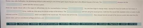 Solved Drag And Drop The Correct Word Or Phrase To Complete Chegg