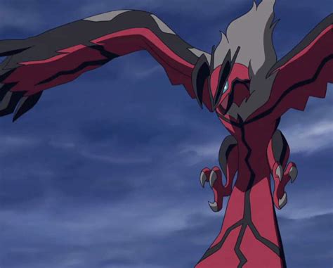 Legendary Pokémon Fact File Yveltal Pokémon Amino