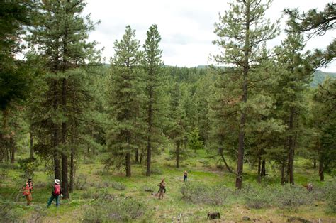 The Nature Conservancy In Washington