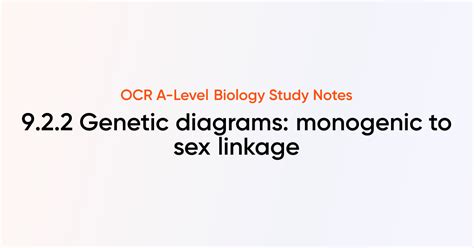 Genetic Diagrams Monogenic To Sex Linkage 922 Ocr A Level