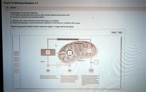 Solved 3 Out Of The 4 Is Incorrect Chapter 24 Matching Questions 1 4 Parta Use The Figure To