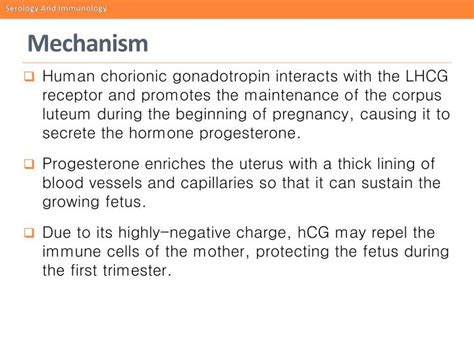 Ppt Hcg Human Chorionic Gonadotropin Powerpoint Presentation Id1852903