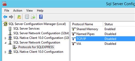 Preparing SQL Server Express Netaphor SiteAudit TM Knowledgebase
