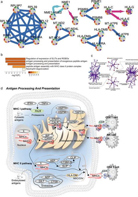 shared sub networks of 11 networks a shared interactions of 11