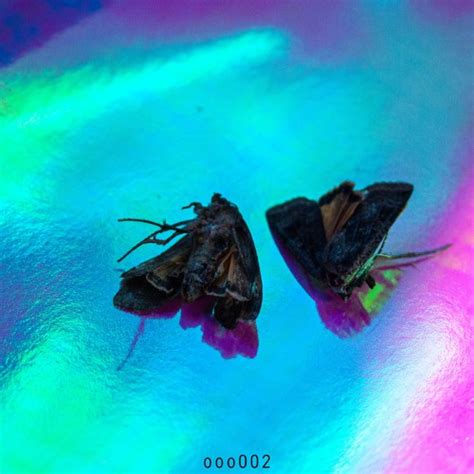 Stream Nandu Moria Feat Ena Cosovic By Out Of Options Listen Online For Free On Soundcloud