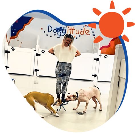 Doggie Daycare Brooklyn Nyc — Doggittude
