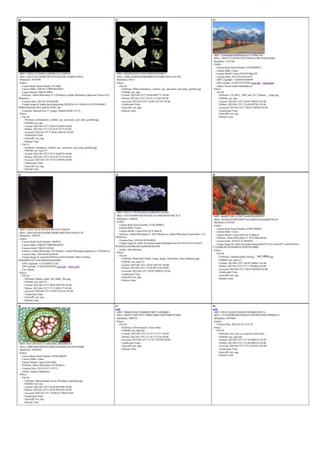Github Lemnetvics Gallery Maker A Tool To Make A Gallery From A