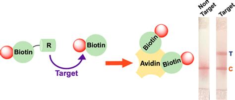 Affinity Switchable Lateral Flow Assay Bohrium