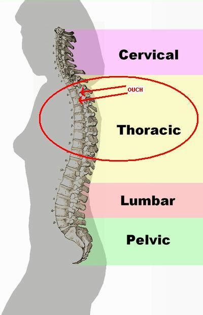 Just South Of The Dot Thoracic Segmental Dysfunction Regions 3 And 4