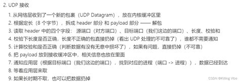 Udp协议重点总结（附实例）udp数据包实例解析 Csdn博客