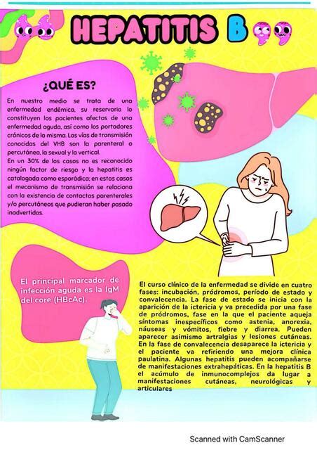 Hepatitis Abcd Yesmin Danira QuiÑones Sanchez Udocz