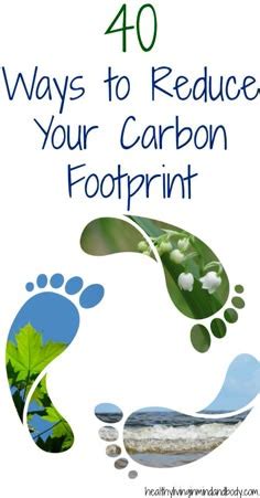 12 Carbon Cycle Ideas Carbon Cycle Environmental Science Biology Lessons