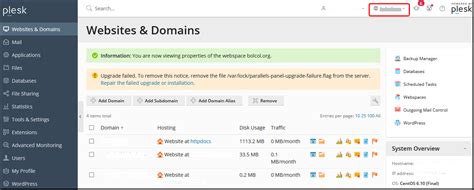 manage multiple subscriptions in plesk diadem technologies support