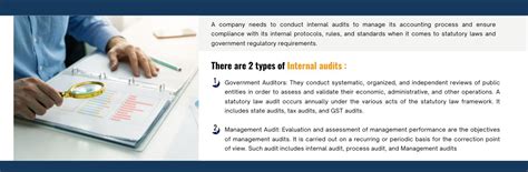 Internal Audit Control Services Pro Team Solutions Company